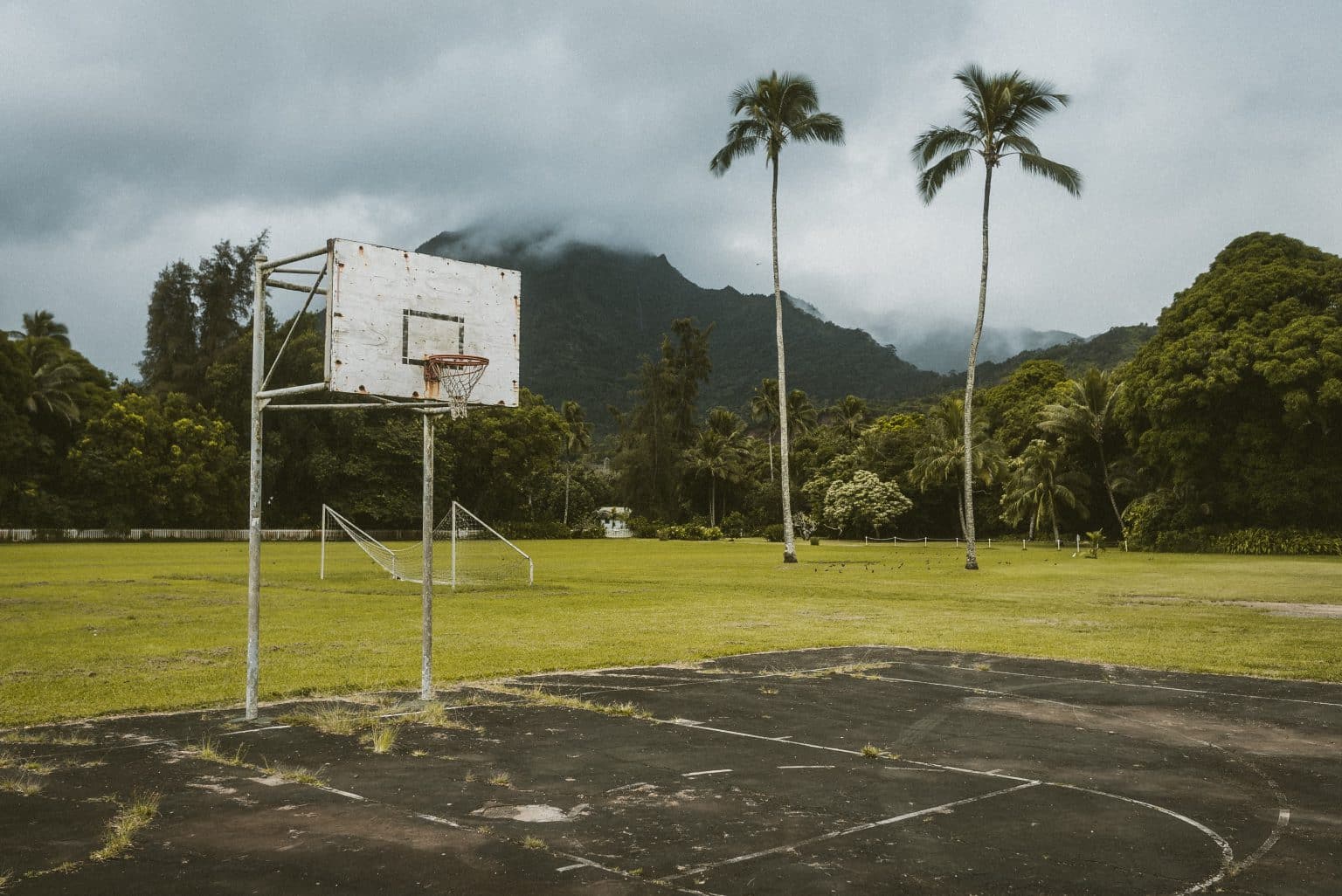 How High Is Ja Morant's Vertical? » TheHoop.Blog